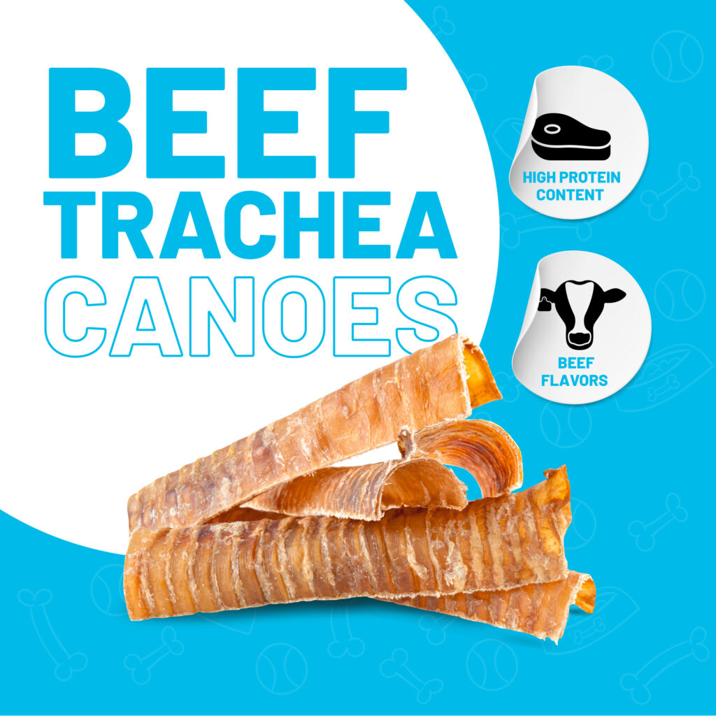 Beef Trachea Canoes - 6 Inch - Sitka Farms